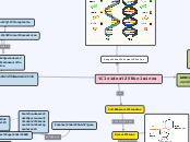 Ácidos Nucleicos - Concept Map